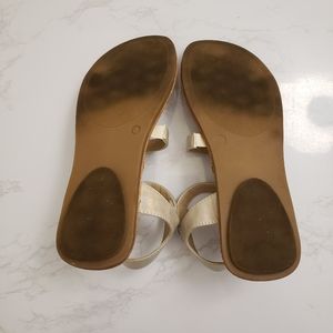 Rachel Shoes | Shoes | Rachel Shoes Gladiator Sandals | Poshmark